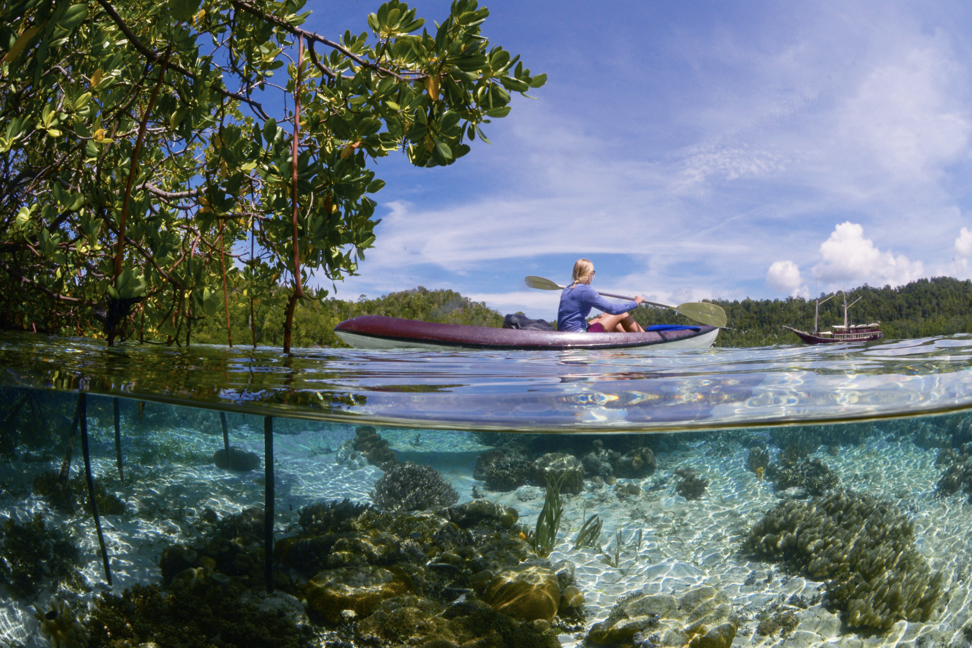 5 Reasons Marine Protected Areas (MPAs) are Critically Important for ...